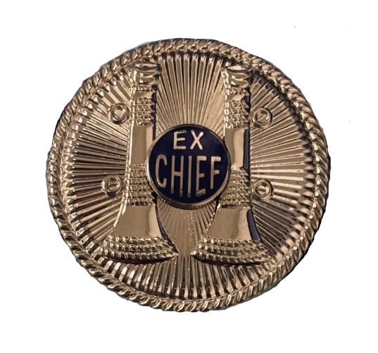 Smith & Warren C110 - Two Parallel Bugles with BLUE EX-CHIEF ...